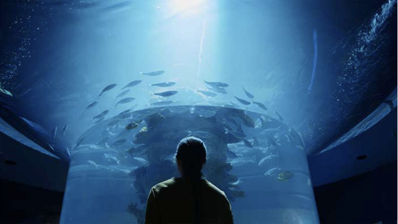 ASU named No. 1 in innovation for eighth straight | The ASU Family Hub