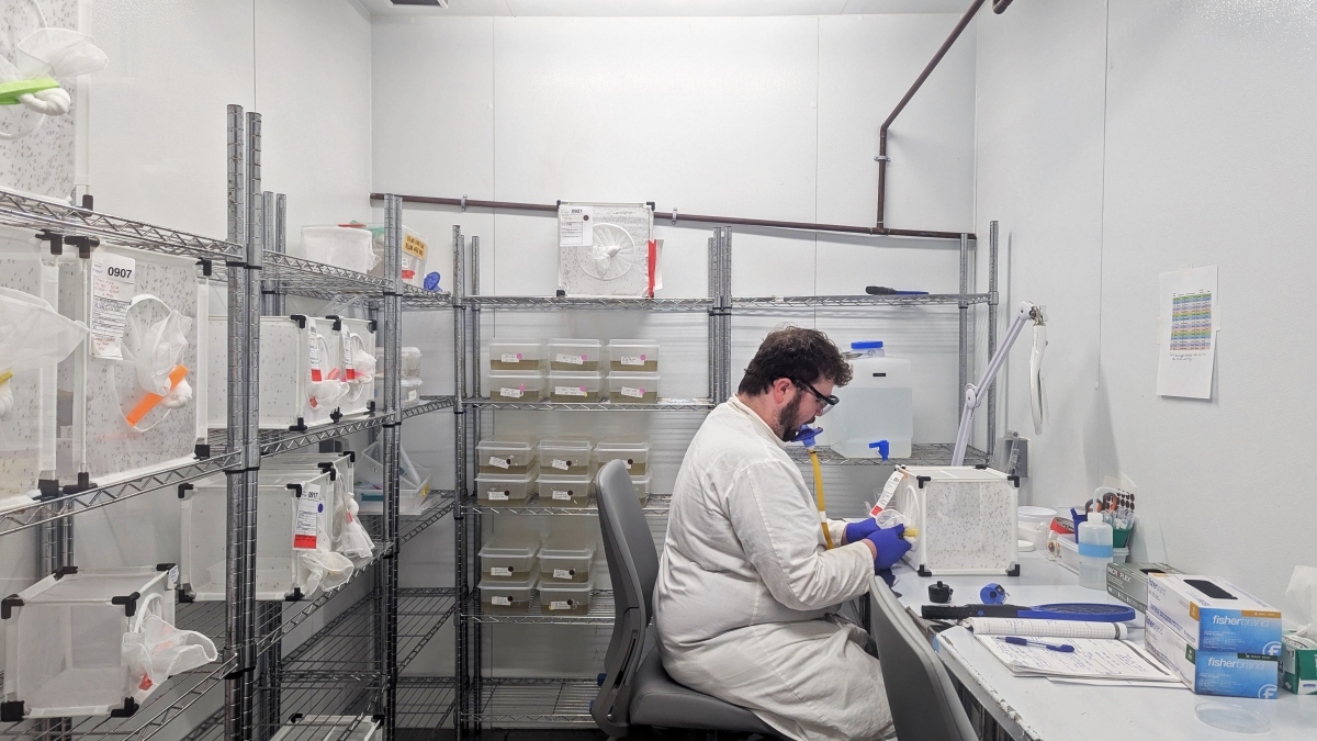 New ASU study explores how electric fields could | The ASU Family Hub