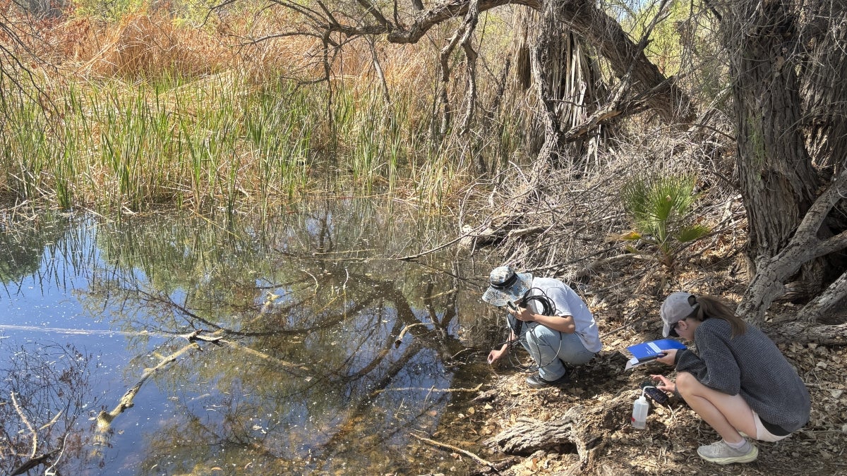 Students in ASU lab work to improve river | The ASU Family Hub